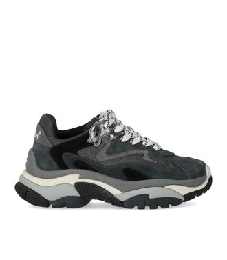 Ash BASKETS ADDICT GRIS ASH