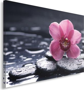 Feeby Frames, Leinwandbild, Bilder, Wand Bild, Wandbilder, Kunstdruck 60x80cm, ZUSAMMENSETZUNG, ZEN, ORCHIDEEN, WASSER, KIES, VILOET, SPA