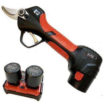 Blue Bird Akku-Baumschere PS 22-23 BLUE BIRD MIT 2 BATTERIEN 885940