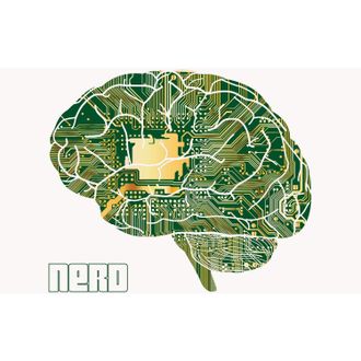 Fabulous Plakat Gehirn-PCB-Nerd 30x39cm