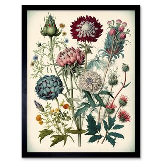 Artery8 Ernst Haeckel Style Vintage Botanical Plant Study Modern Watercolour Painting Illustration Art Print Framed Poster Wall Decor 12x16 inch