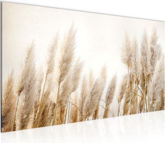 Runa Art Wandbild Boho pampasgras 1 Teilig 100 x 40 cm Modern Bild auf Vlies Leinwand Natur Wohnzimmer Schlafzimmer Beige 044412a
