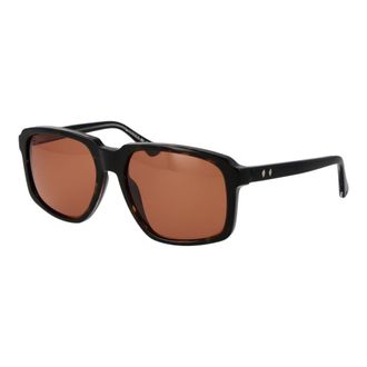 Web Brown Acetat Sonnenbrille