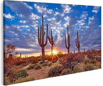 Islandburner Tableau sur Toile Paysage Sc&eacute;nique du D&eacute;sert de lArizona Cactus Saguaro Nuages Dramatiques Couche Cadre Affiche Poster Murale Tableaux