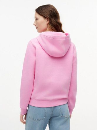 Tommy Jeans Kapuzensweatshirt TJW REG S FLAG HOODIE Baumwollmischung