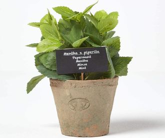 Homescapes künstliche Küchenkräuter im Topf, Minze, Kunstkräuter im Tontopf als Innenbereich-Deko, künstliche Topfpflanze, 16 cm hoch
