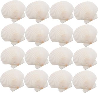 DOITOOL 21 Stück Teiliges Natürliche Weiße Jakobsmuscheln für DIY Bastelprojekte Aquarium Deko Strandthema Meeresschmuck Wiederverwendbar