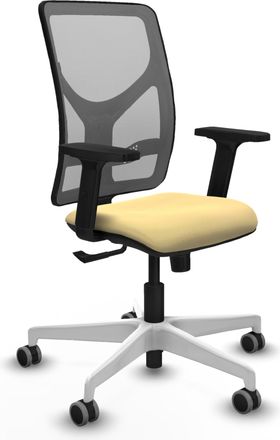 Piqueras y Crespo B&uuml;rostuhl Parkett mit 2D-Armlehnen, h&ouml;henverstellbare Lendenwirbelst&uuml;tze, ausgestattet mit 3 Positionen und Schneideschaum, mit Rollen von 65 mm, Park