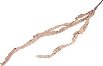 Botanic-Haus künstlicher Deko Zweig/künstliche Rinde, Farbe: Hellbraun