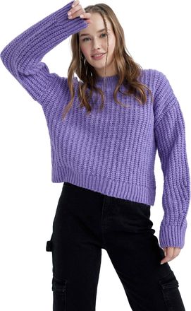 DeFacto Pullover Damen Langarm Blusen & Tuniken - Pullover Damen Winter Sweater Dark Lilac L