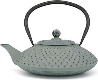 Bredemeijer Th&eacute;i&egrave;re plate Asia en fonte - 1,25 l - Vert clair - Grande verseuse &eacute;maill&eacute;e en fonte &eacute;maill&eacute;e avec filtre en acier inoxydable