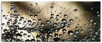 Artland ARTland Wanddeko Glasbilder Wandbild Glas Bild einteilig 125x50 cm Querformat Natur Botanik Blumen Pusteblume Frühling Wassertropfen Modern S5YR