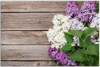 Wallario Outdoor-Poster f&uuml;r Garten oder Balkon Fliederbl&uuml;ten auf Holz, Motivbanner Gr&ouml;&szlig;e: ca. 60 x 90 cm, Outdoor-Bild