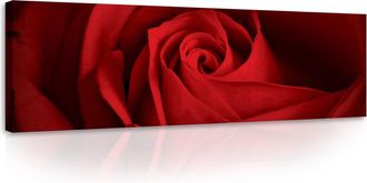 ForWall Leinwand Bilder - Blumen Rosa Rosen Rot - 145x45 cm Leinwandbilder - Bild auf leinwand - Wandbild XXL groß Wandbilder für Wohnzimmer Schlafzimmer Wohn