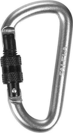 Salewa D-SHAPE Carabiner With Screw - Schl&uuml;sselanh&auml;nger