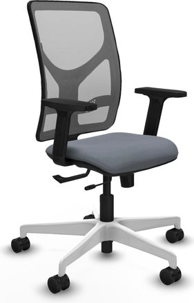 Piqueras y Crespo Computerstuhl mit 2D-Armen, h&ouml;henverstellbare Lendenwirbelst&uuml;tze, ausgestattet mit Syncro/Traslack und Schneideschaum, Grau/Grau