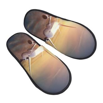 Generic Pantoufle Maison Avion Au Coucher Du Soleil Hiver Pantoufles Antid&eacute;rapantes Chaussons Maison Doux Hiver Chaussures Chaudes Pour Chambre H&ocirc;tels Salon L