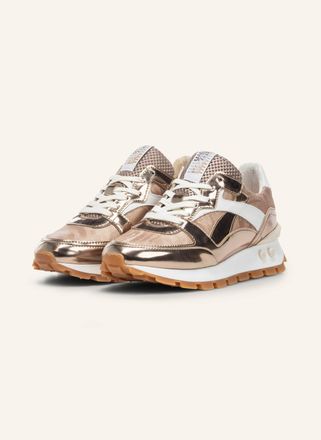 Floris Van Bommel Floris Van Bommel Sneaker Blokki 07 braun