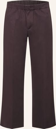 Sandro Sandro Chino Regular Fit braun
