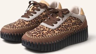 Ilse Jacobsen Ilse Jacobsen Sneaker Lo tulip4501 braun