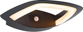 Paulmann 94839 LED Außenwandleuchte Akena IP44 insektenfreundlich Bewegungsmelder 10,8W 800lm 243x254mm Anthrazit Aluminium 2200K