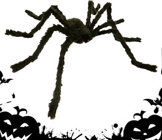 Generic Halloween Spinnenschmuck,Spinnenschmuck,Creepy Spiders Spielzeug | Spinnen Realistische Dekorationen Au&szlig;en gef&auml;lschte Spinnen f&uuml;r au&szlig;erhalb des Spukha