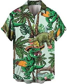 Generic Chemise hawa&iuml;enne d&eacute;contract&eacute;e pour homme avec palmier hawa&iuml;en, croisi&egrave;re tropicale, chemise d&eacute;t&eacute; &agrave; manches courtes, boutonn&eacute;e, graphique, cara&iuml;bes, c