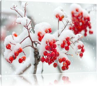 Pixxprint Gefrorene Äste, Größe: 120x80cm, Leinwandbild, fertig gespannt, Wandbild, Dekoration, Kunstdruck, kein Poster