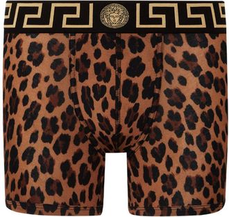 Versace Greca Border Shorts mit Leoparden-Print - Braun