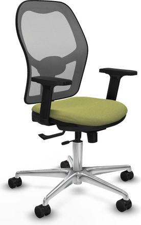 Piqueras y Crespo Jorquera Rollstuhl mit 2D-Armen, h&ouml;henverstellbare Lendenwirbelst&uuml;tze, ausgestattet mit Syncro/Traslack und injiziertem Schaumstoff, Grau/Olivgr&uuml;n