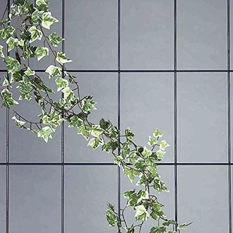 Siena Garden Spalier 5-strebig, 150x75cm, 763758