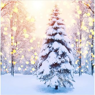 Wallario Sticker/Aufkleber f&uuml;r K&uuml;hlschrank/Geschirrsp&uuml;ler/K&uuml;chenschr&auml;nke, Selbstklebende Folie - 60 x 60 cm, Motiv: Winterzauber im Lichterglanz