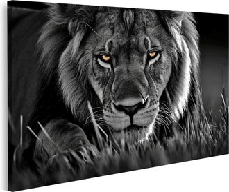 Islandburner Bild auf Leinwand Majest&auml;tischer L&ouml;we in Schwarzwei&szlig; f&uuml;r Wohnzimmer Tierliebhaber Tierbedarfsgesch&auml;ft Bilder Wandbilder Poster