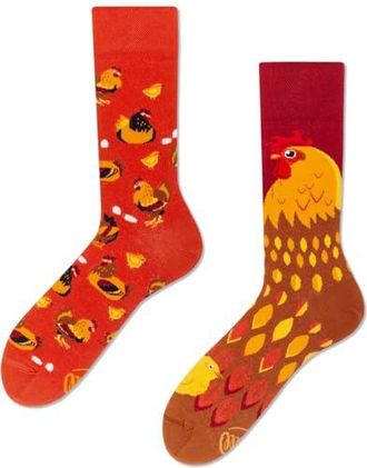 Many Mornings Golden Eggs - Poules, poussins, oeufs - Chaussettes non assorties, multicolore, 39-42