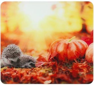 WENKO Multi-Platte Mod. Herbst, 3in1 K&uuml;chenbrett, Spritzschutz, Herdabdeckplatte, Schneidebrett, Glas, 56 x 50 cm