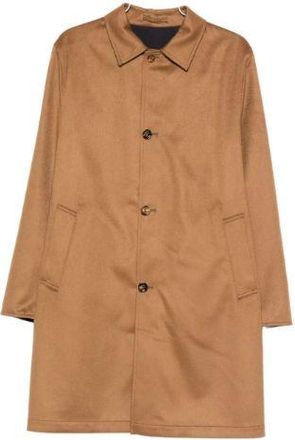 Kired Kired | H101 - 46