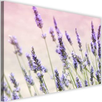 Feeby Leinwandbild XXL Lavendel Wandbild Kunst Pflanzen Natur Violett 120x80 cm