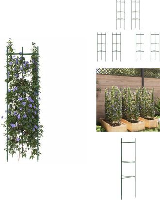 vidaXL Tomatenk&auml;fige 6 Stk. 116 cm Stahl und PP - Tomatenk&auml;fige - Gew&auml;chshausbedarf - Pflanzenstange - Gartenger&auml;te - Gem&uuml;seanzucht