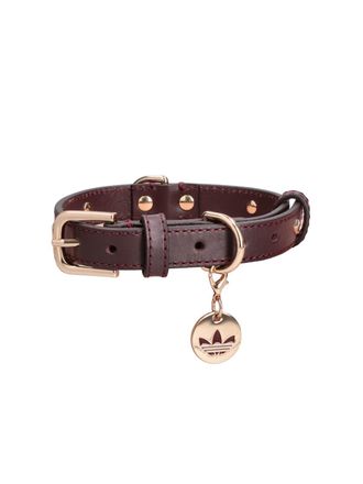 adidas Pet Collar