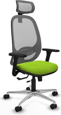 Piqueras y Crespo Stuhl f&uuml;r &Uuml;berwachungshaus mit 3D-Armen, h&ouml;henverstellbare Lendenwirbelst&uuml;tze und h&ouml;henverstellbares Kopfteil, Grau/Pistazie