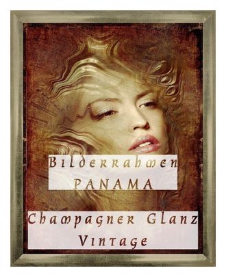 Homedecoration Bilderrahmen Panama 29 x 34 cm Champagner Vintage mit Acrylglas Antireflex 1 mmm