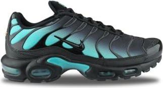 Nike Nike Air Max Plus Dusty Cactus Dm0032-016