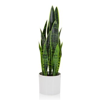 hjh OFFICE Kunstpflanze SANSEVIERIA mit Übertopf Höhe 65 cm Zimmerpflanze Bogenhanf künstlich, 871016