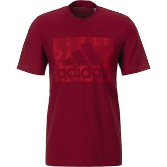 adidas Herren Shirt M BOS G T