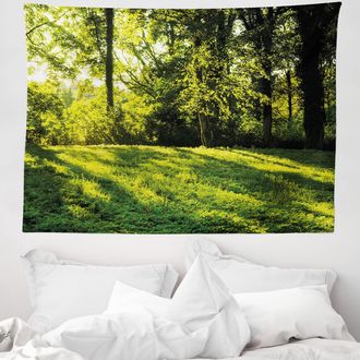 Abakuhaus Grün Wandteppich, Rising Sun Beams Wald aus Weiches Mikrofaser Stoff Waschbar ohne Verblassen Digitaldruck, 150 x 110 cm, Grün