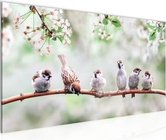 Runa Art Wandbild Natur 100 x 40 cm Modern Bild auf Vlies Leinwand Vögel Wohnzimmer Schlafzimmer Grün Weiss 050112a