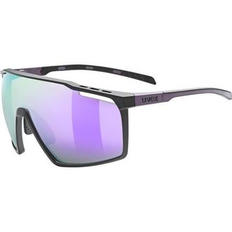 Uvex Herren Brille mtn perform