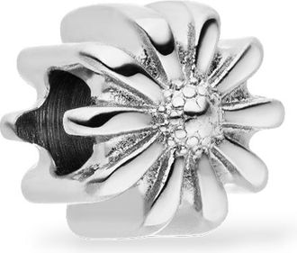 Purelei LEI Aster Charm - Geburtsblume September