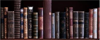 Wallario Poster - Bücherregal mit Alten Büchern in Premiumqualität, Größe: 50 x 125 cm