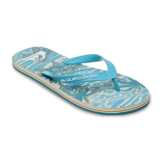 Quiksilver Molokai Art